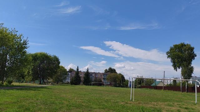 Гуляем по деревенскому полю