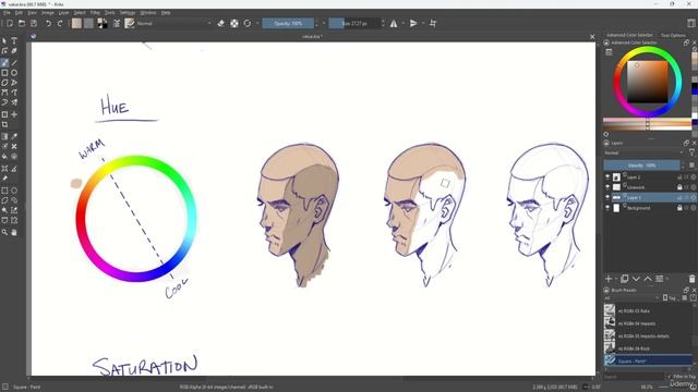 9 - Understanding Hue