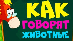 КАК ГОВОРЯТ ЖИВОТНЫЕ - СБОРНИК Развивающие мультики про животных для детей