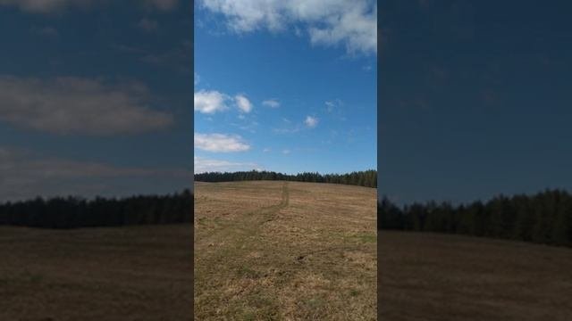 №88 Восстановление и настройка полей Света