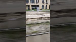 Поездки в общественном транспорте | 2-авг-2025, 3