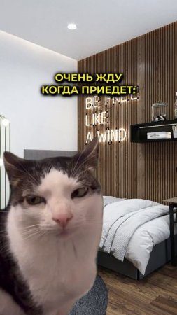 Окна с обогревом - от заказа до установки
