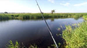 РЫБАЛКА В КОНЦЕ ИЮЛЯ. ЛОВЛЯ НА БЛЕСНУ И ДРОП - ШОТ.