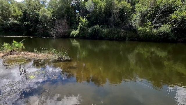 щупаки🐟