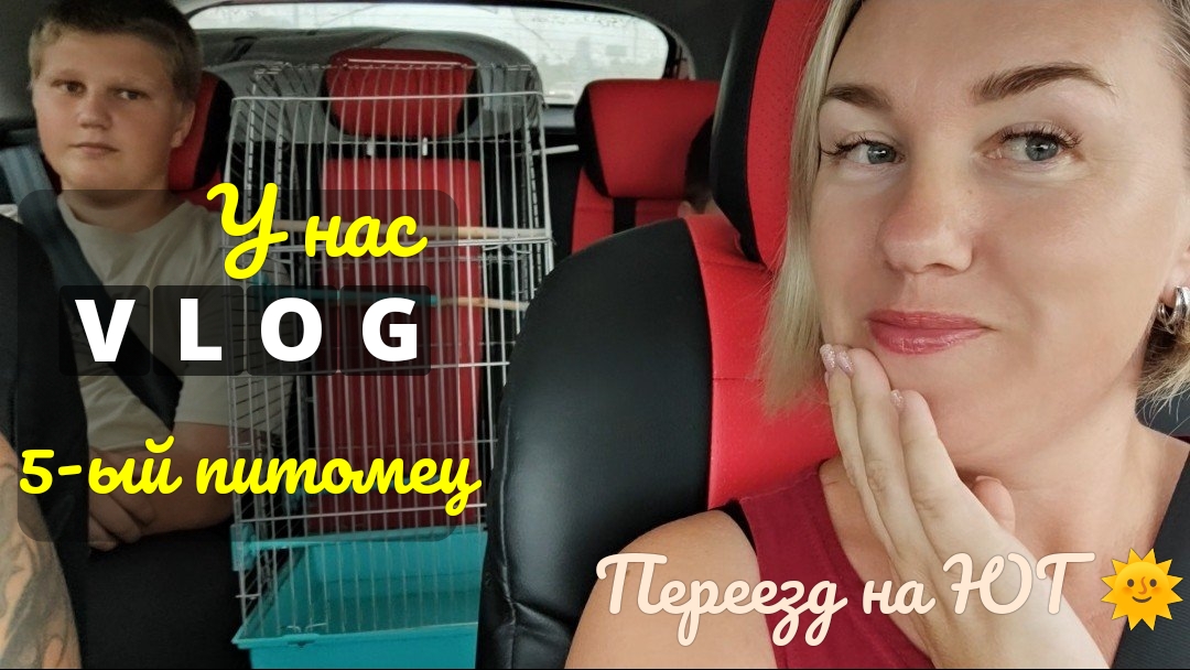 Переезд на ЮГ 🌞 У нас появился 5-ый питомец☺️ На Кубани засуха🍂