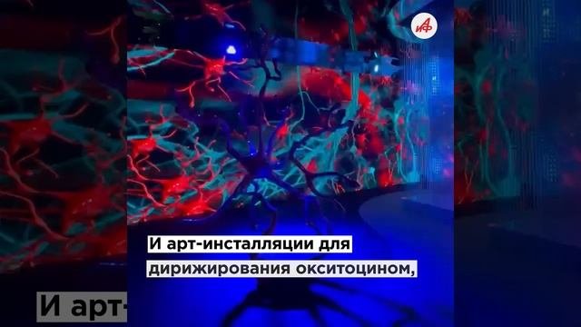 Любовь и знания. Чем удивит форум-фестиваль «Территория будущего. Москва 2030» в Гостином дворе