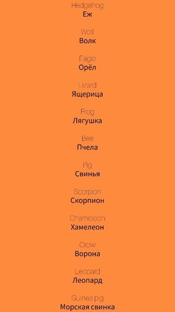 Животные 4 Animals 4