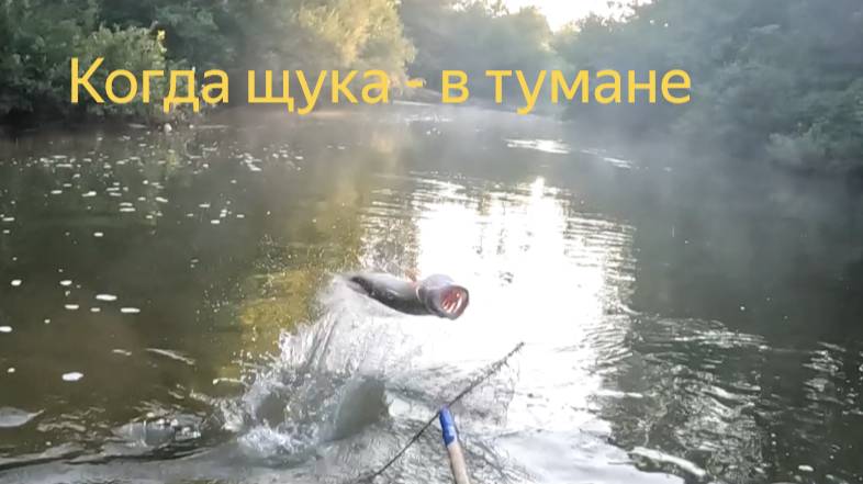 ЩУКА В ИЮЛЕ ВЫХОДИТ ИЗ СУМРАКА