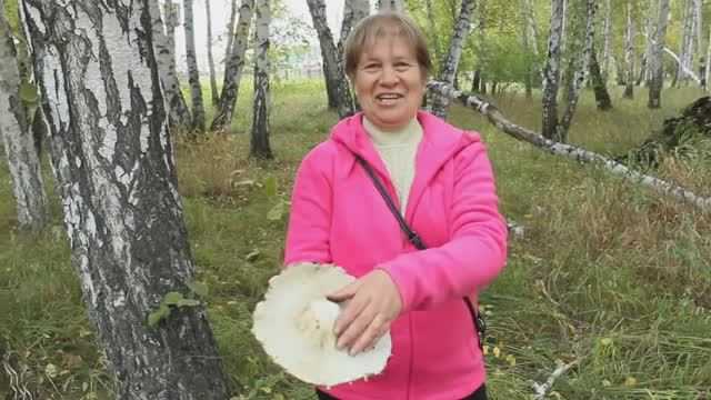 Грибная охота, 2019 г