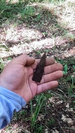 Находки в лесу Неведомое нечто #shorts #находкивлесу #неведомоенечто #metaldetecting #другаяжизнь