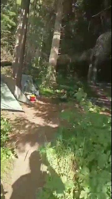 🌲⛺ 🌊 🎣 Как в сказке! 👍🤪