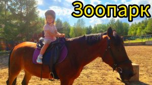 ❤️ Ава и мама изучают диких животных в зоопарке ❤️ Контактный зоопарк ❤️ Животный мир ❤️ Конный мир
