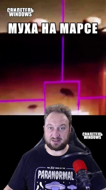 Мухи на Марсе ,да какой там Марс