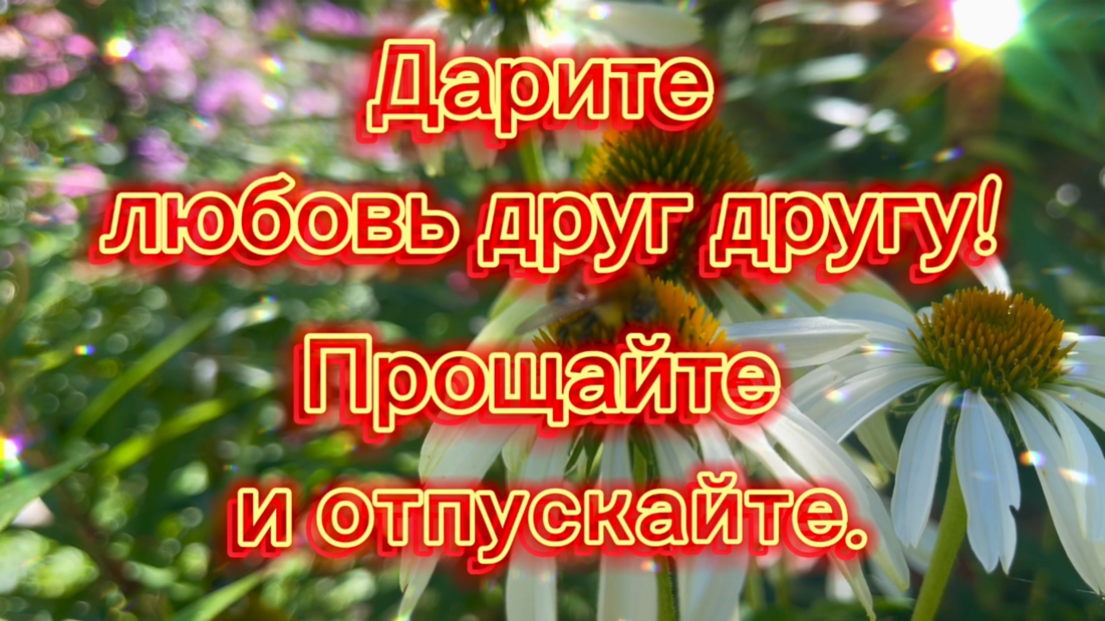 Дарите любовь друг другу! Прощайте и отпускайте.