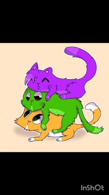 Разноцветные коты топ