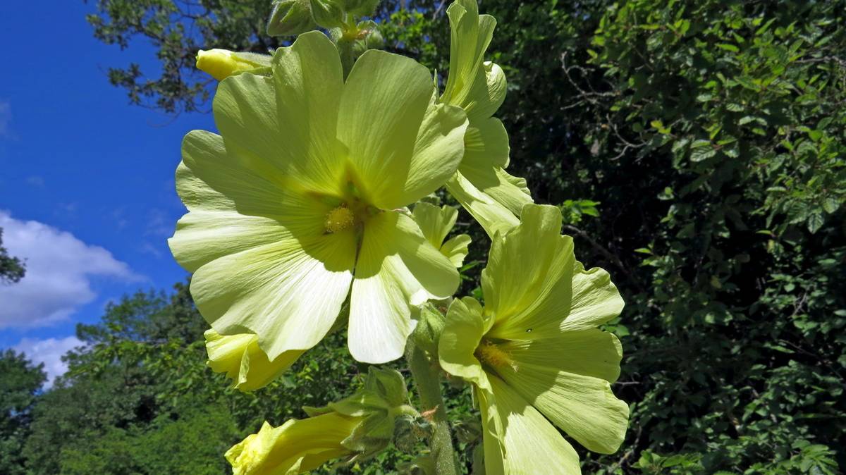 От Щебетовки к Лесному озеру