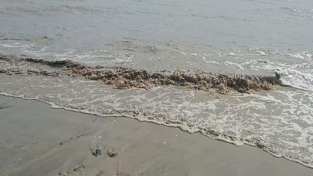 Лермонтова грязный берег и море после шторма