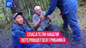 Якутский грибник пять дней не ел и пил воду из луж, заблудившись в лесу