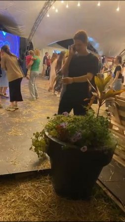 VID-20250803-WA0000
