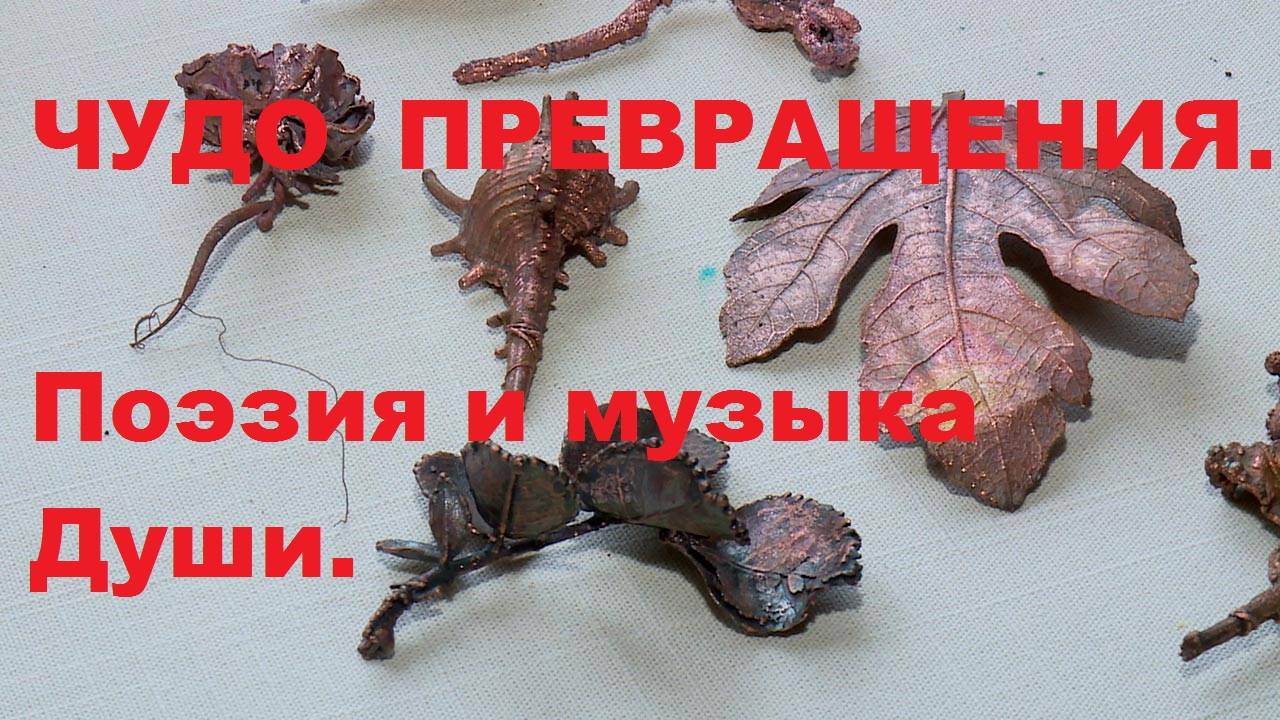 ЧУДО ПРЕВРАЩЕНИЯ. Автор стихотворения и видео А. Соколов.