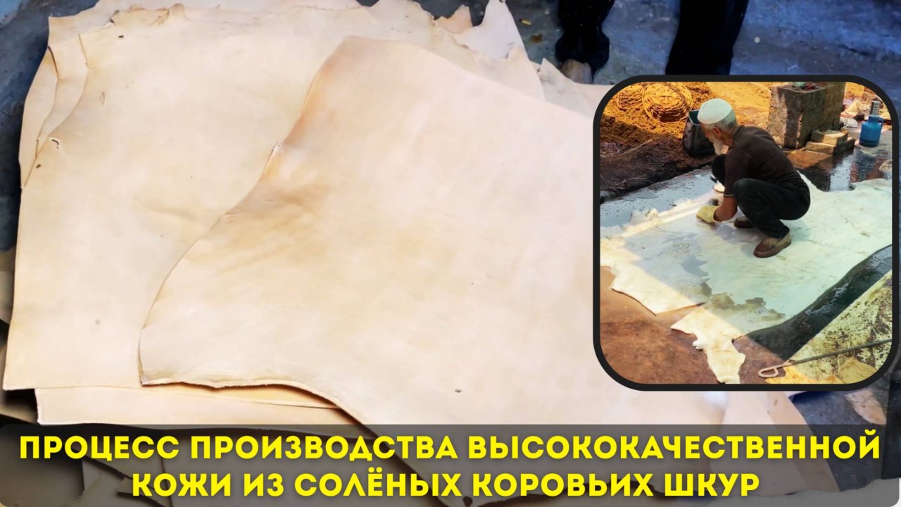 Процесс производства высококачественной кожи из солёных коровьих шкур