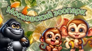 Забавные обезьянки. Мандрил. Восточный колобус. Горилла. Московский зоопарк. Лето 2025