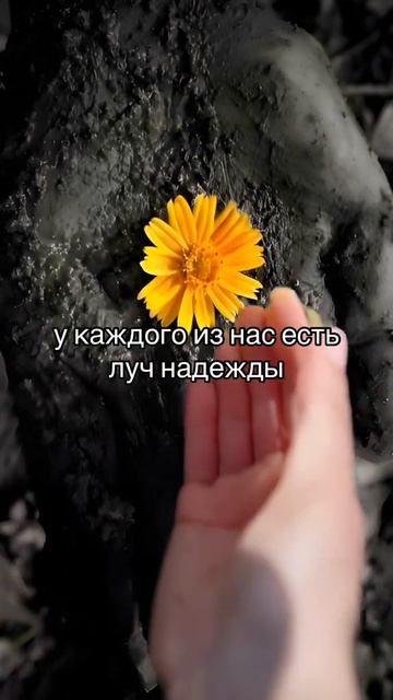 Умные мысли и цитаты