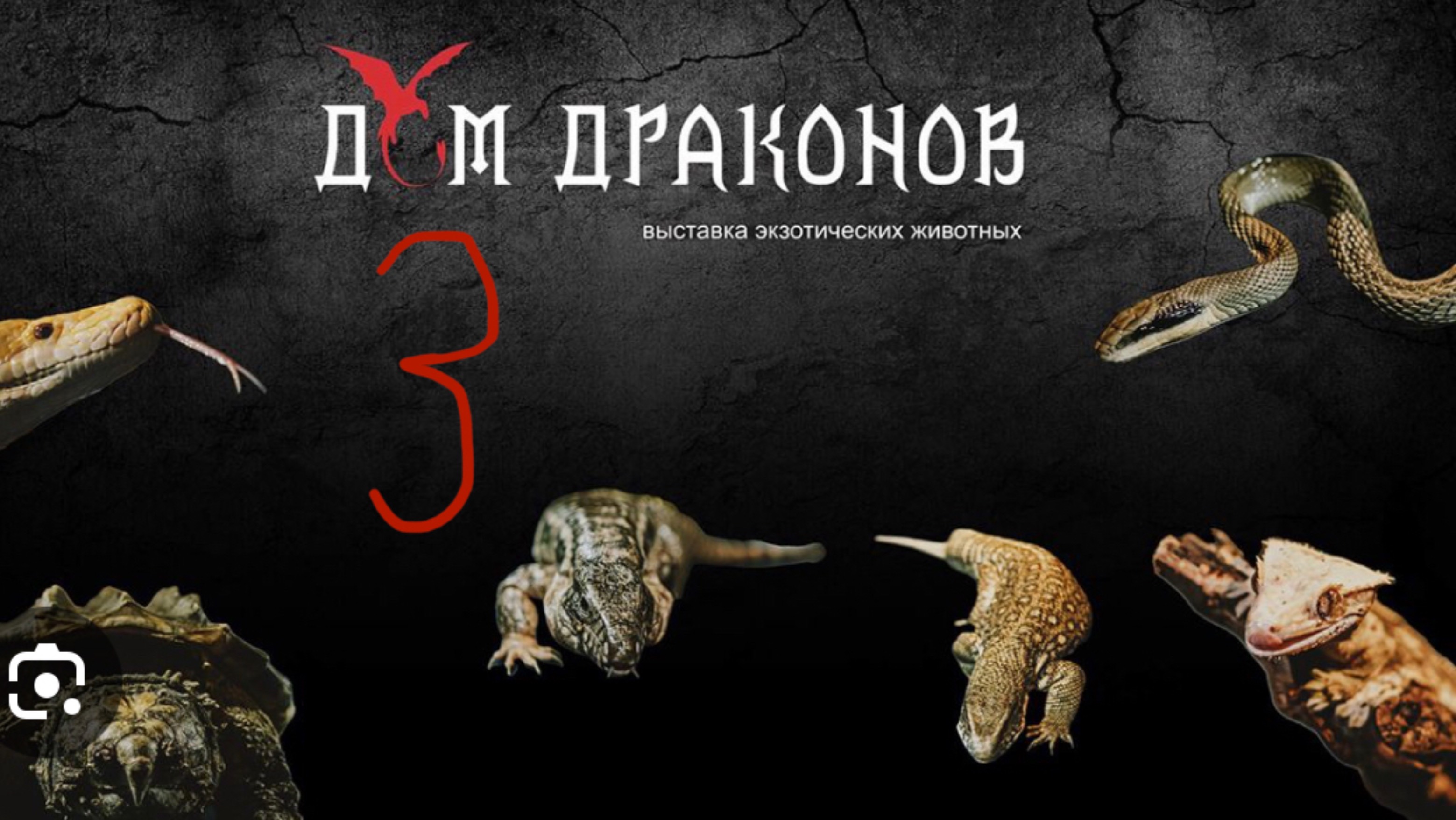 Дом Драконов 3. (3).  Два Серёги.