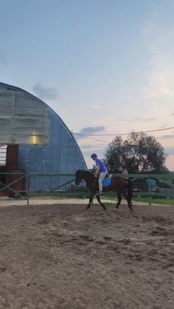 Михаил на Аквилоне неспешно рысит в полевой посадке на плацу, на закате.