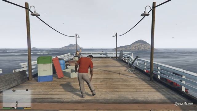 Grand Theft Auto V. Фотоохота на животных. Тайм-код.