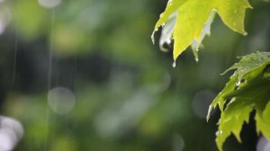 Звуки пианино для сна | расслабляющая музыка для сна