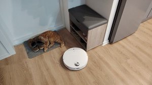 Roborock Qrevo CurvX - объезд кота и обуви