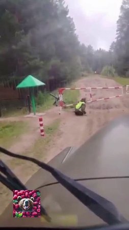 Выходные удались