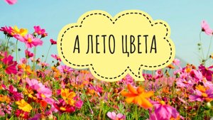 СП "А лето цвета 3" с Людмилой Красноперовой. Отчёт 5. Участник 58