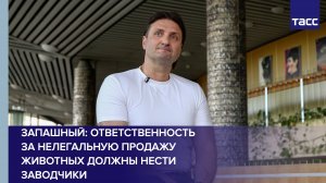 Запашный заявил, что ответственность за нелегальную продажу животных должны нести заводчики