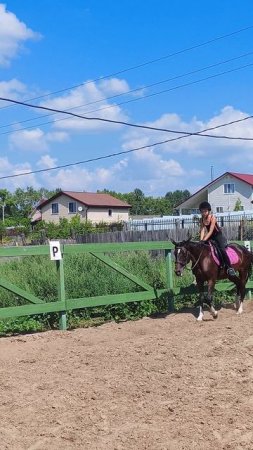 Саша и Флейта, рысь в полевой посадке на плацу.