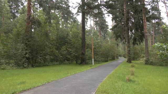 Глава округа Максим Красноцветов осмотрел лесопарк «Северный» после благоустройства.