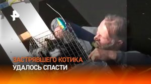 Застрявшего на набережной Фонтанки в Санкт-Петербурге кота удалось спасти