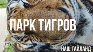 Парк тигров