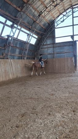 София пытается самостоятельно ехать рысью на Каспере.