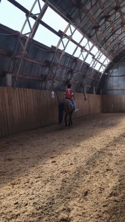 София на Аквилоне продолжает учится ехать учебной рысью в манеже.