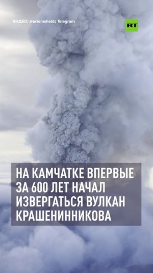 На Камчатке начал извергаться вулкан Крашенинникова