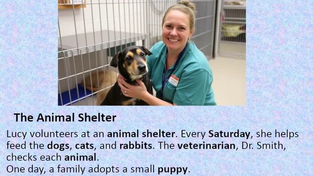 The Animal Shelter