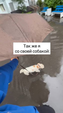 Я люблю только себя!