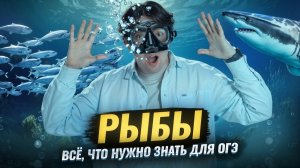 Рыбы | Полный разбор для ОГЭ по биологии | Умскул