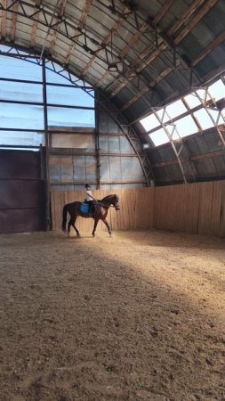 Маша на Аквилоне рысит без стремян в манеже.