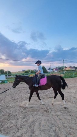 Леша и Флейта, рысь на корде, на закате на плацу.
