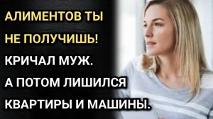 Алиментов ты не получишь! Кричал муж, а потом лишился квартиры и машины. Аудио рассказы
