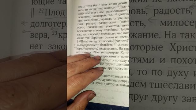 Любовь. Дары, плоды  Духа