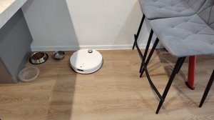 Roborock Qrevo CurvX - объезд кошачьих мисок
